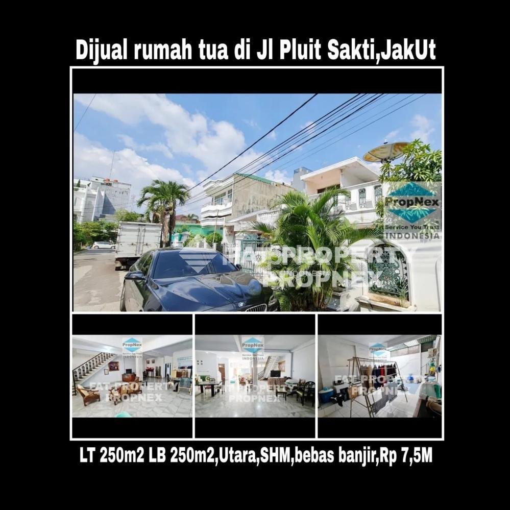 Dijual Rumah - Rumah Tua Di Pluit Sakti Jakut | PropNex Plus